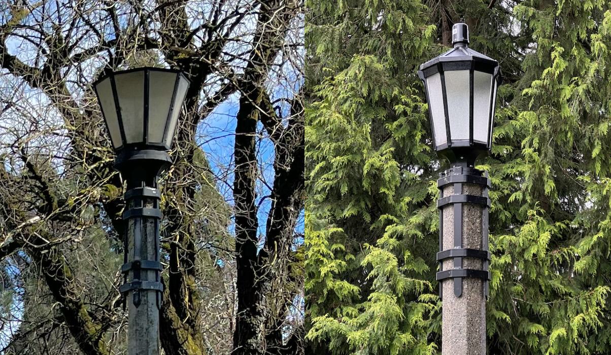 New Lamp Poles at Montavilla Park – Montavilla News